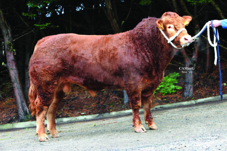 LENAGH EQUALISER · Eurogene